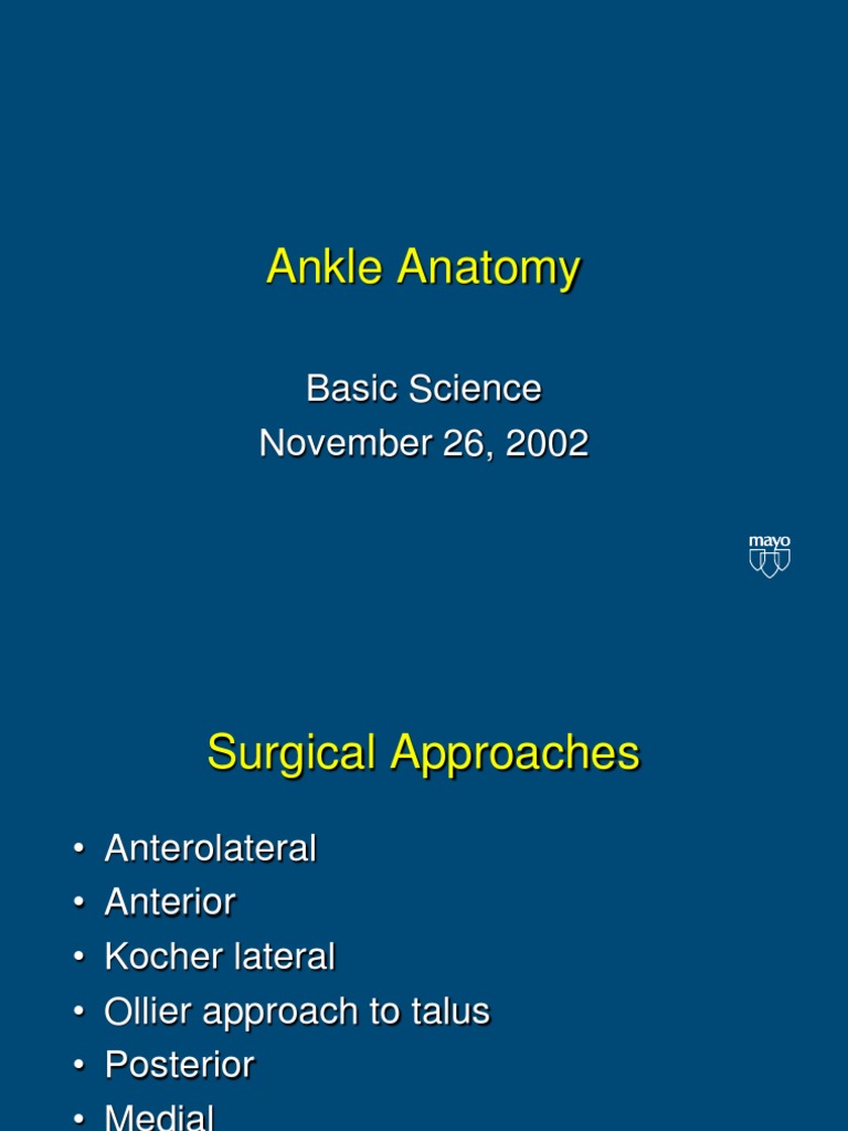 Ankle Anatomy | PDF | Ankle | Anatomical Terms Of Location