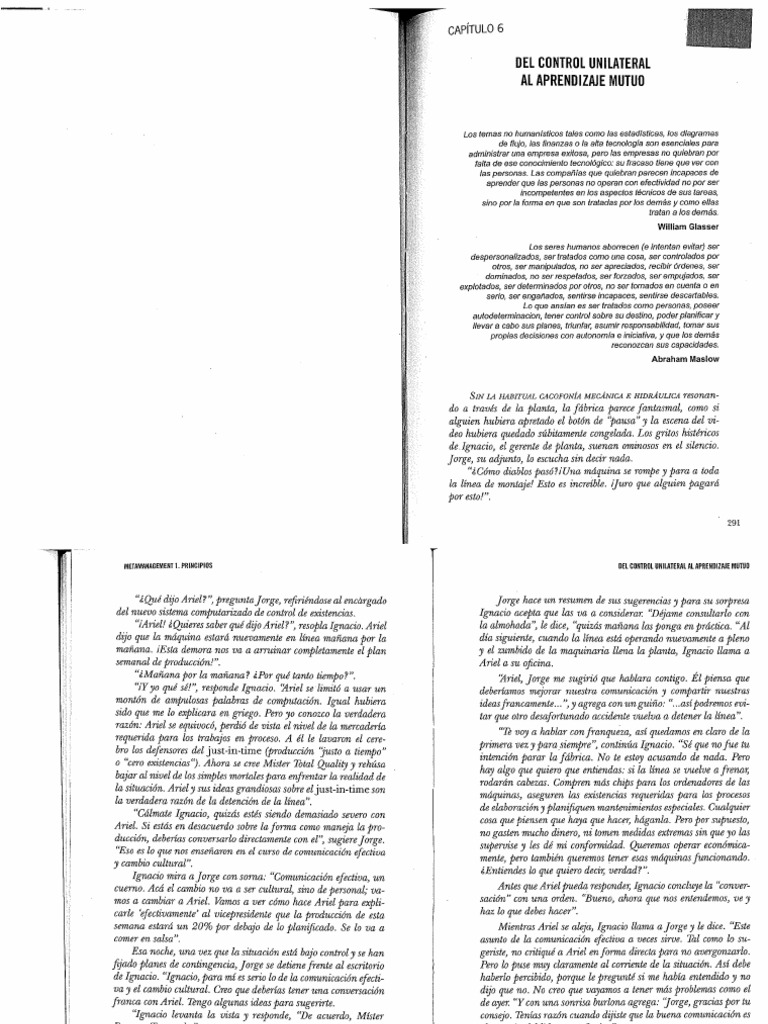 Metamanagement Cap6 | PDF