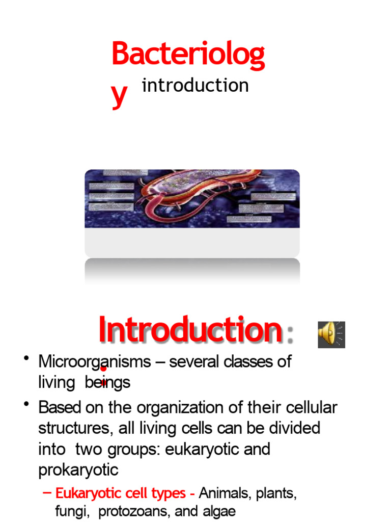 703d3d - Intro To Bacteriology | PDF | Cell (Biology) | Eukaryotes