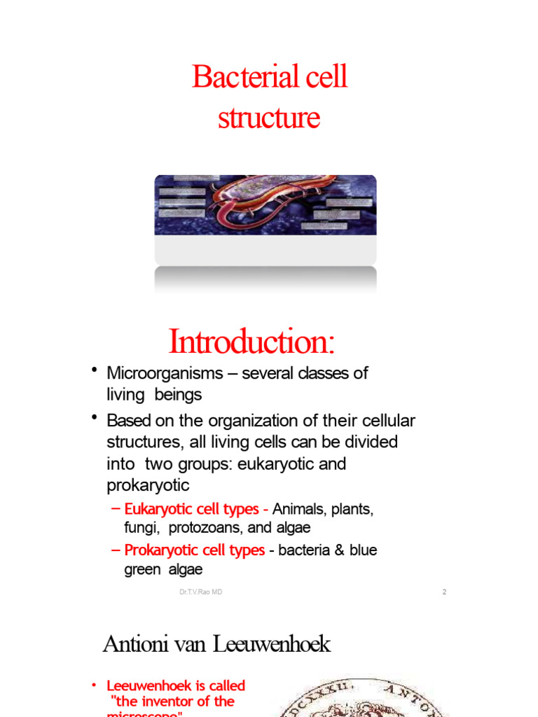 Bacterial Cell Structure | PDF | Gram Positive Bacteria | Staining