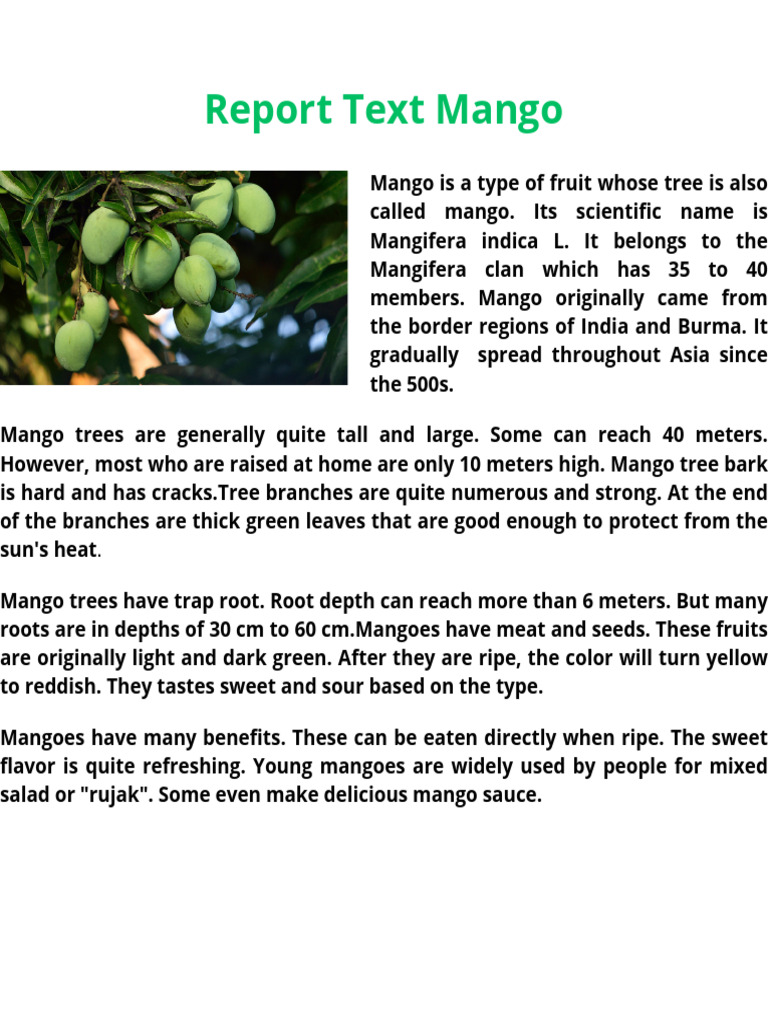 Text report Mango_20240214_195013_0000 | PDF