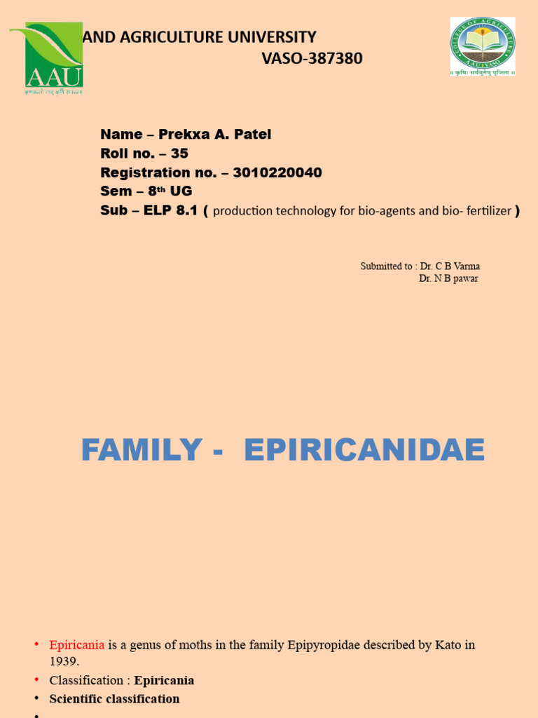 35 Prexa-1 | PDF | Pupa | Abdomen