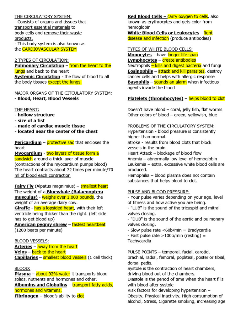 Circulatory System Overview | PDF | White Blood Cell | Heart