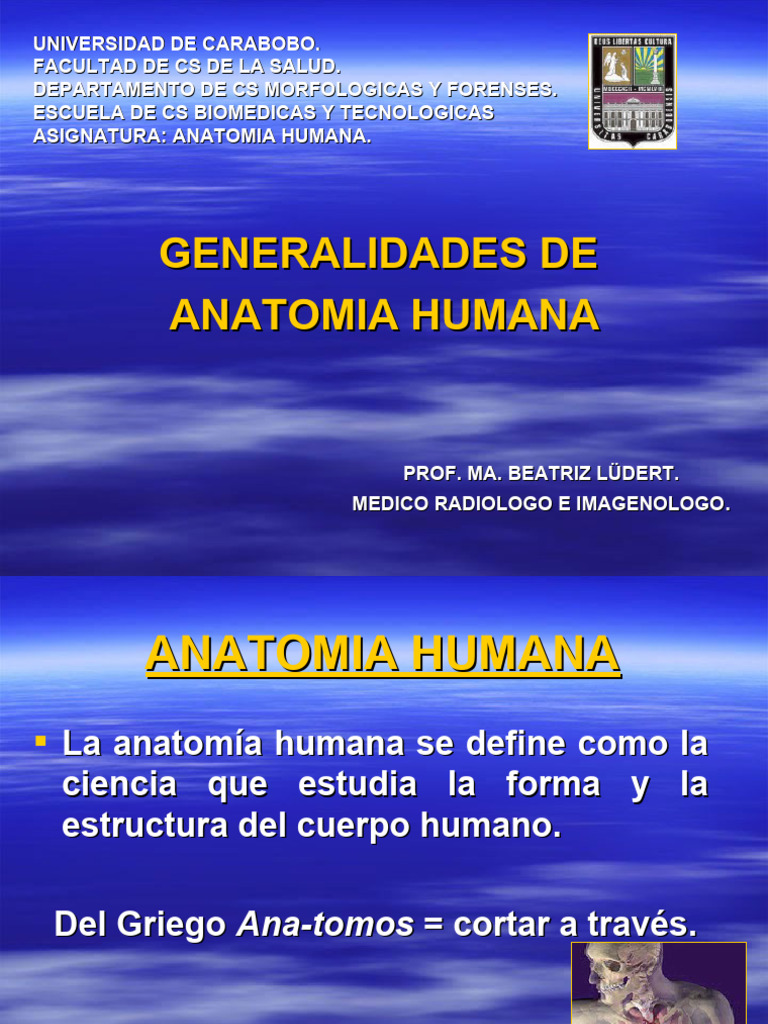 Generalidades de Anatomía Humana y Osteología | PDF | Hueso | Esqueleto