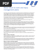 NSW Return to Work Program Guidelines | PDF | Employment | Occupational ...