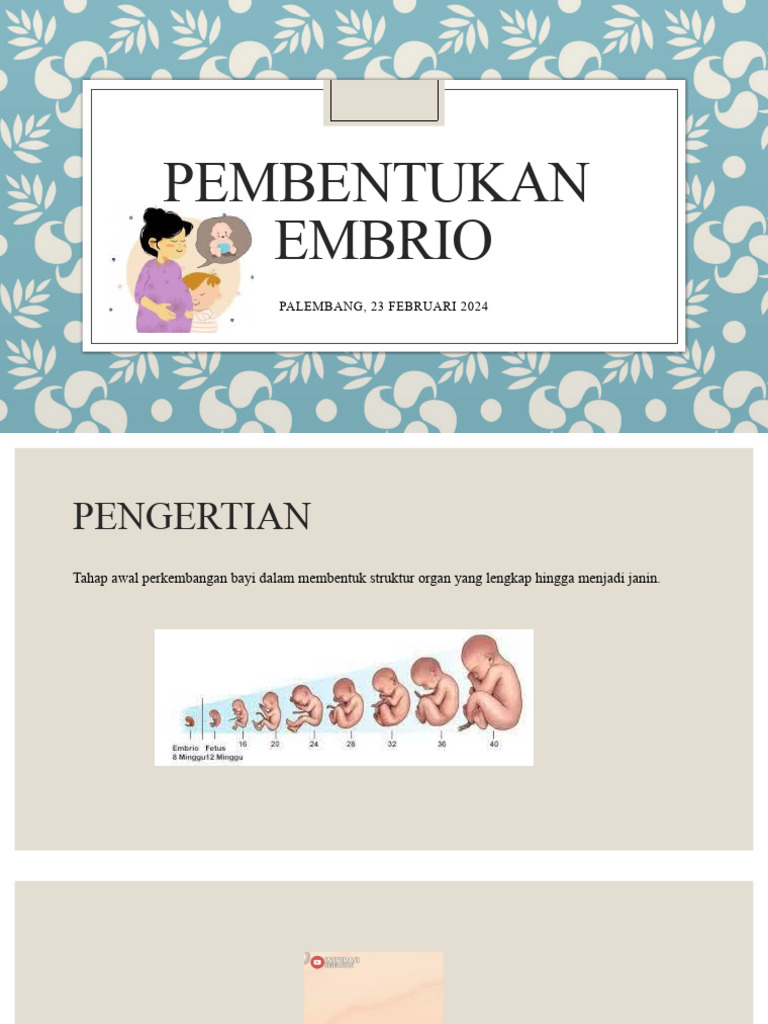 PEMBENTUKAN Embrio | PDF