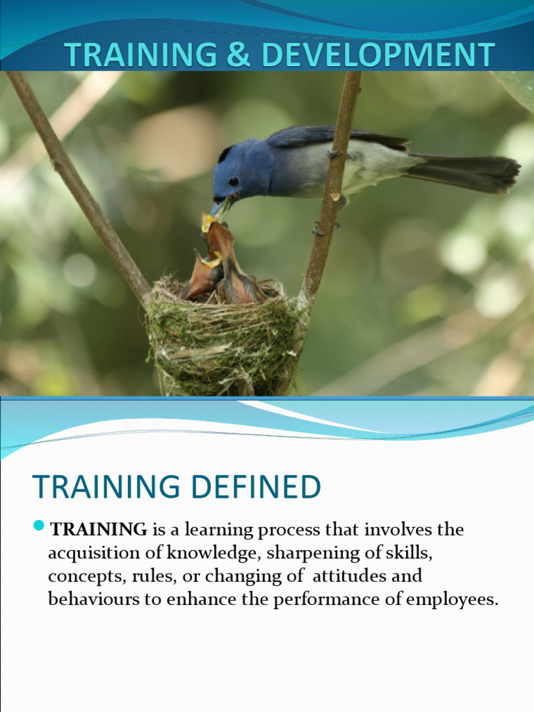 Lecture 11-16 Training | PDF | Augmented Reality | Learning