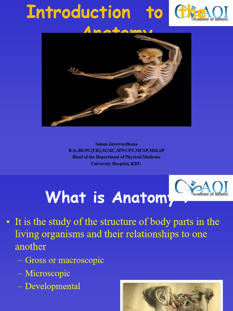 Introduction To Anatomy | PDF | Anatomical Terms Of Motion | Anatomical ...