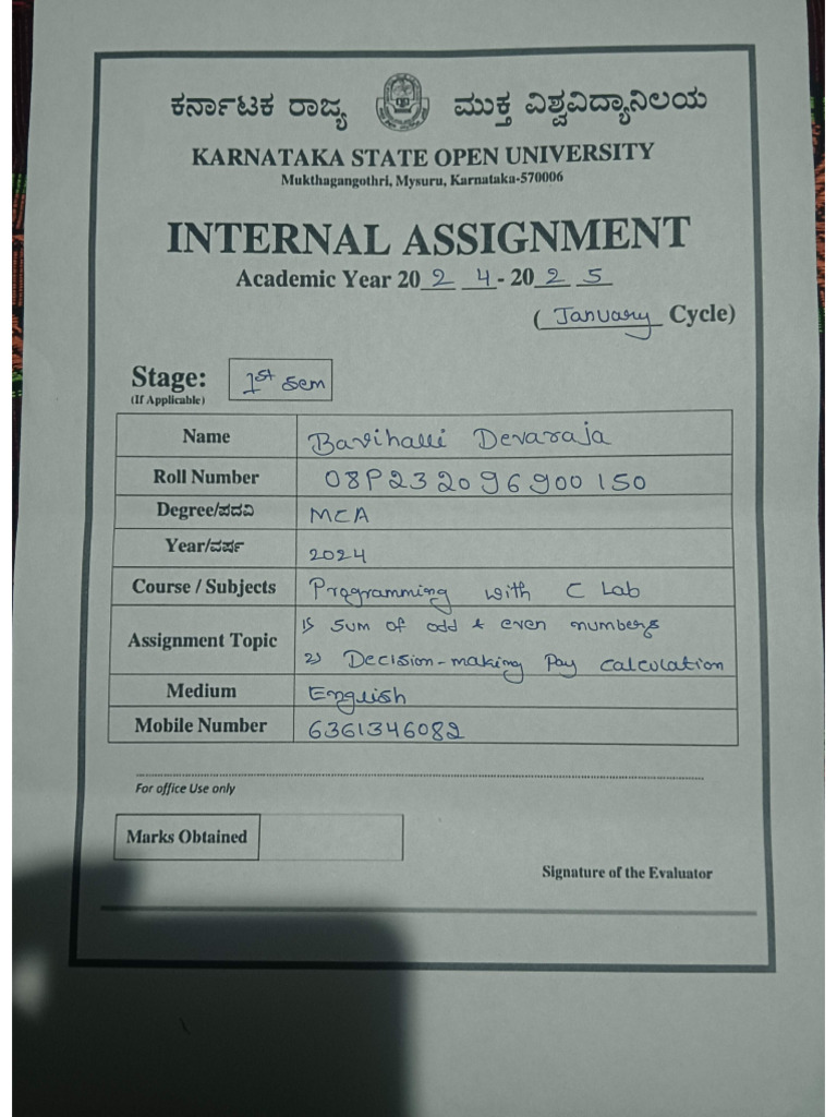 C-Lab Assignment | PDF