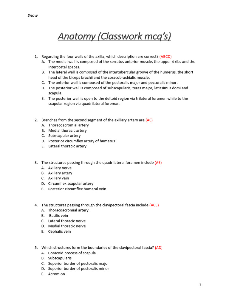 Anatomy class mcq's (1) | PDF | Human Leg | Common Carotid Artery