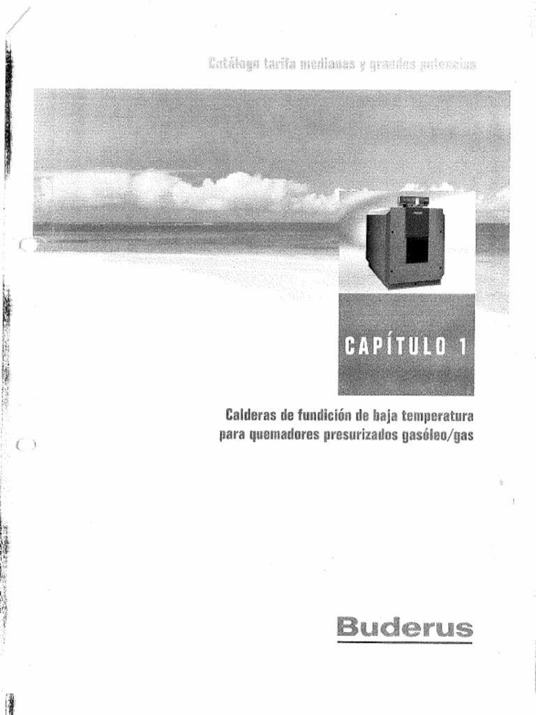 Manual Caldera Bordereus | PDF