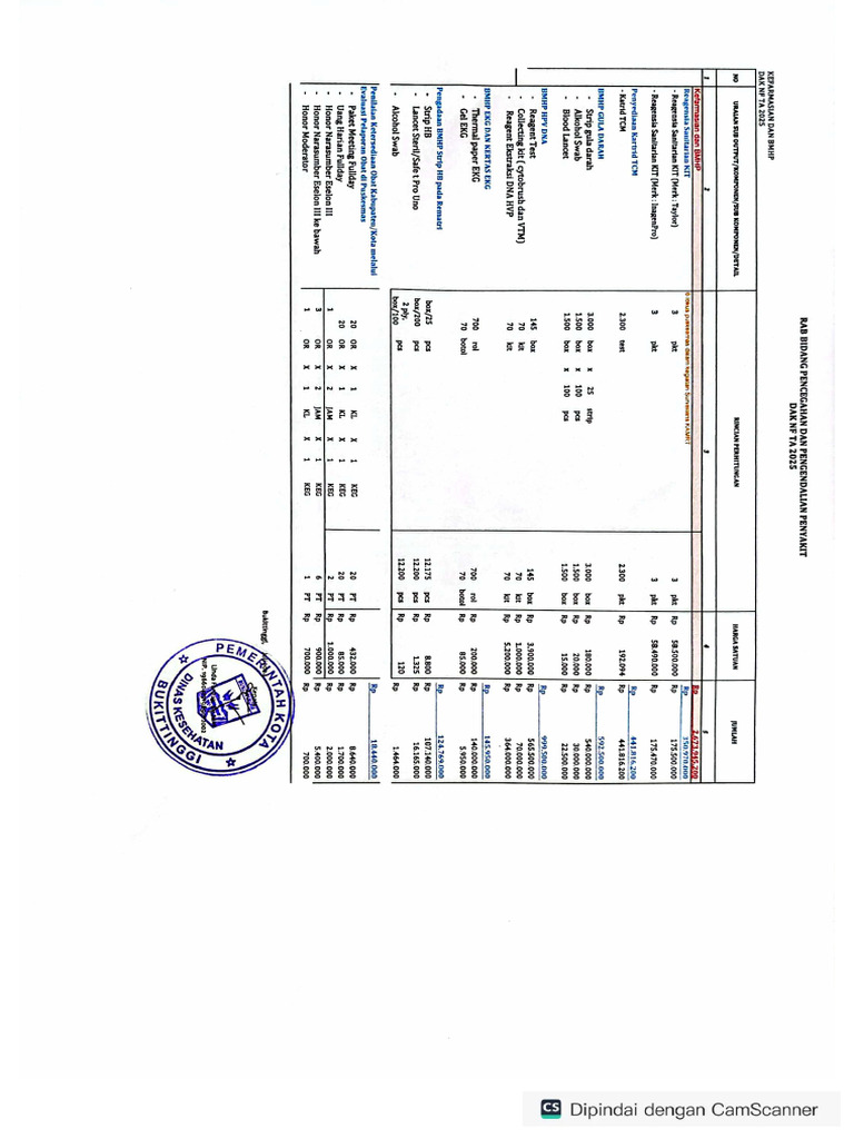 RAB Bidang P2P DAK NF TA 2025 (Kefarmasian Dan BMHP) | PDF
