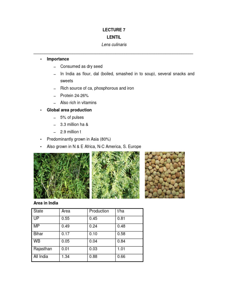 AGR 203 Lec 5 Lentil | PDF | Lentil | Agriculture