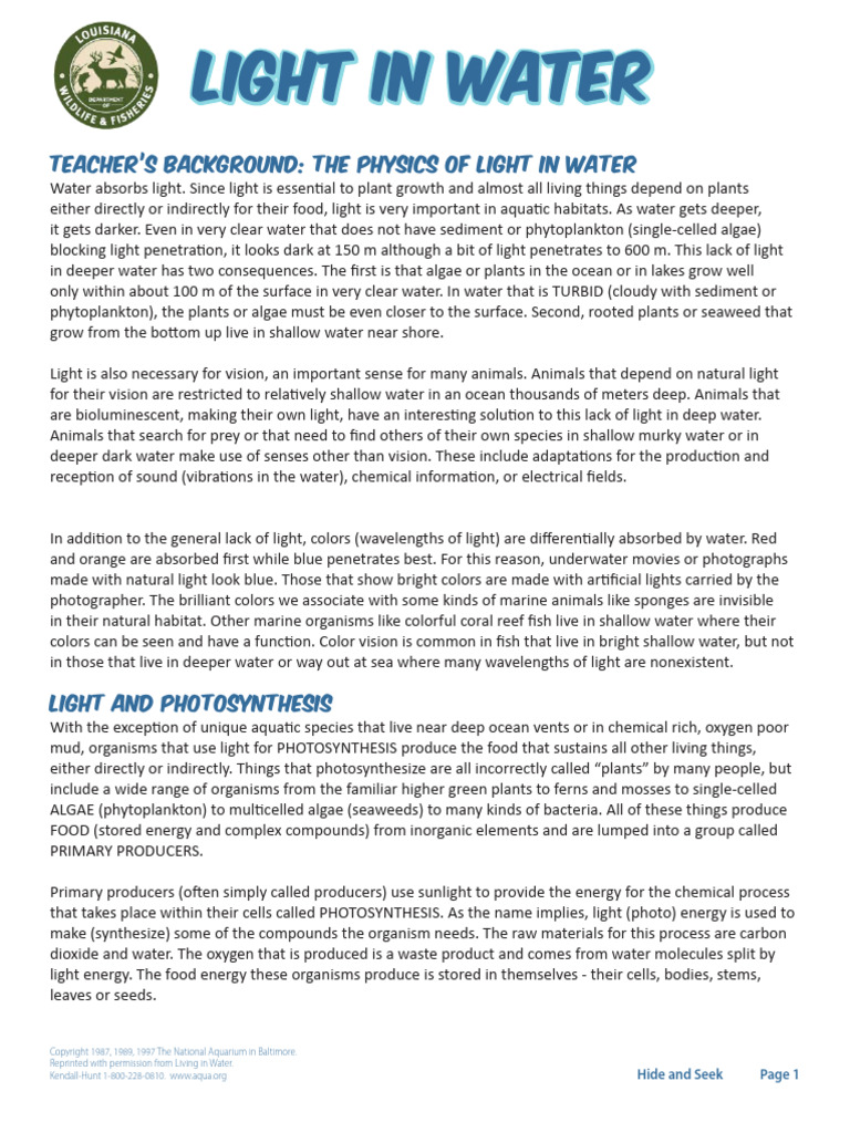 light_in_water_lesson_plan | Download Free PDF | Foods | Color