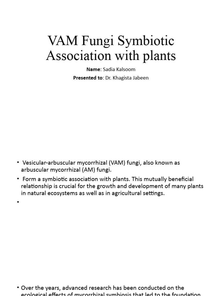 Vam Fungi | PDF | Fungus | Biology