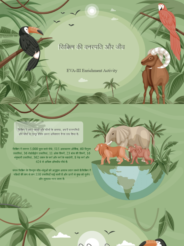 Hindi Eva3 Activity | PDF