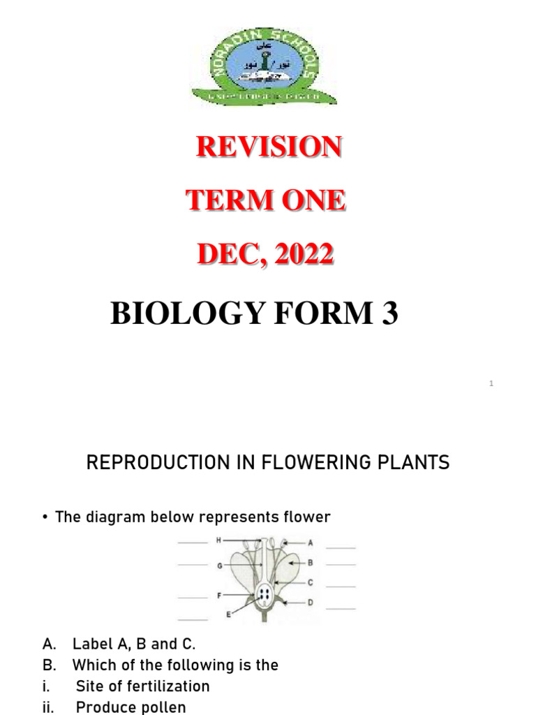 f3 Bio Summary 2022 Noradin | PDF | Heart Valve | Flowers