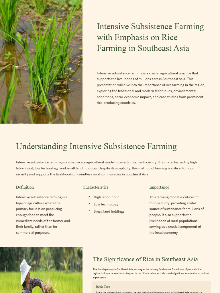 Intensive Subsistence Farming With Emphasis On Rice Farming in ...