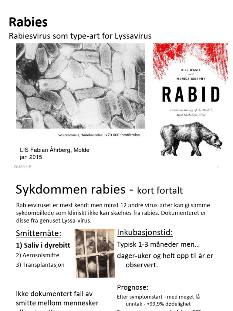 Rabies Jan 2015 | PDF