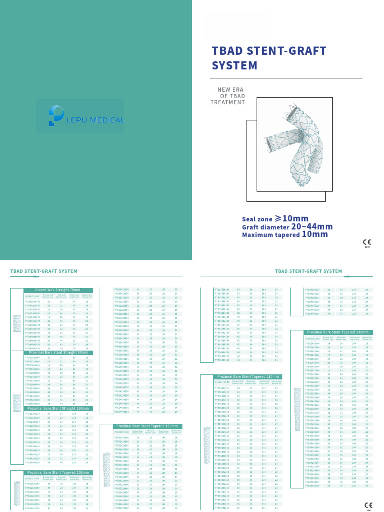 TBAD Stent Graft System | PDF