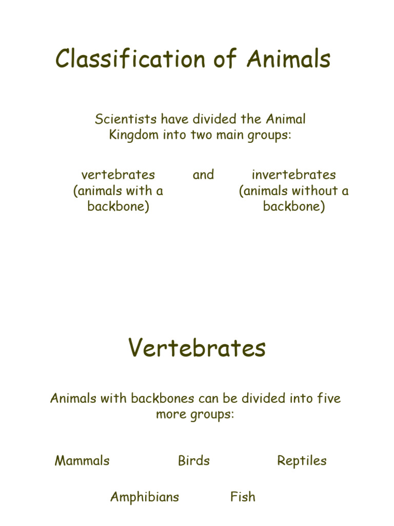 Classification of Animals | PDF | Reptile | Amphibian