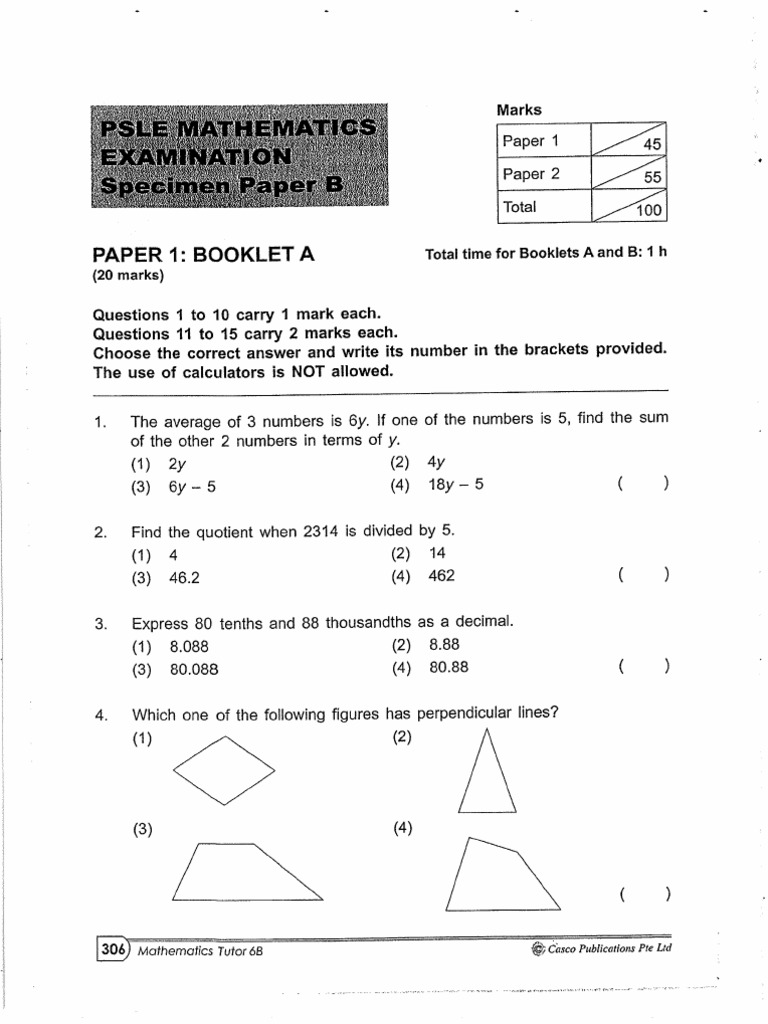 PSLE Mathematics Examination Specimen Paper B | PDF
