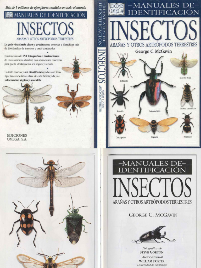 Manual de Identificación de Insectos | PDF