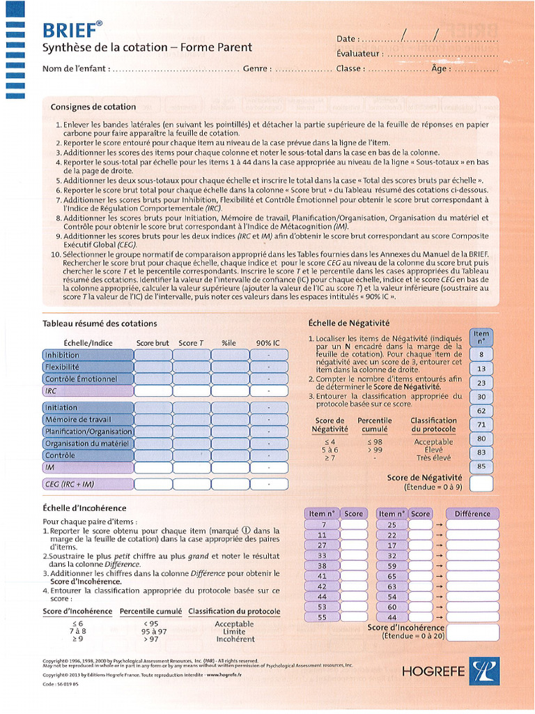 BRIEF Synthèse | PDF