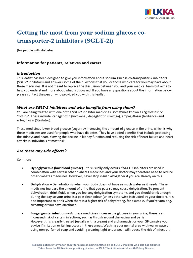 Example Patient Information Sheet For A Person Being Initiated On An ...