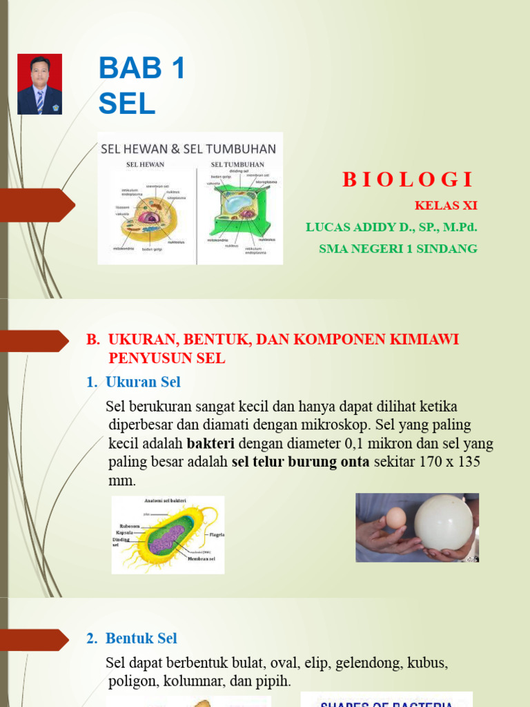 B. Bentuk, Ukuran Dan Komponen Kimia Penyusun Sel | PDF | Sains ...