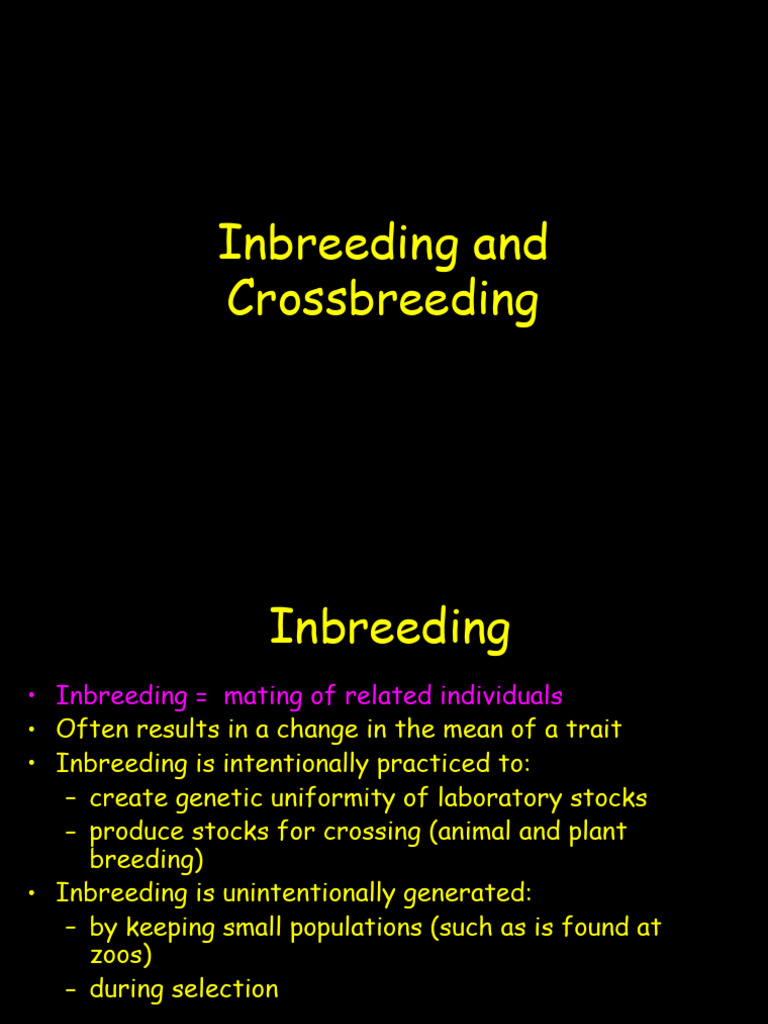 ZOOL 503 Inbreeding and Heterosis 88622 | PDF | Inbreeding | Zygosity