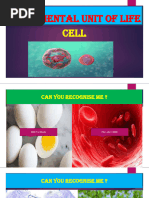 Class 9_Bio_PPT 1 of 6_Ls No. 5_Fundamental Unit of Life | PDF | Cell ...