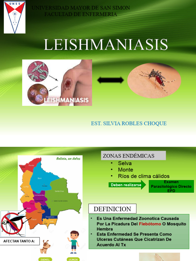 Leishmaniasis Tipos Diagnóstico Y Tratamiento Pdf Medicina