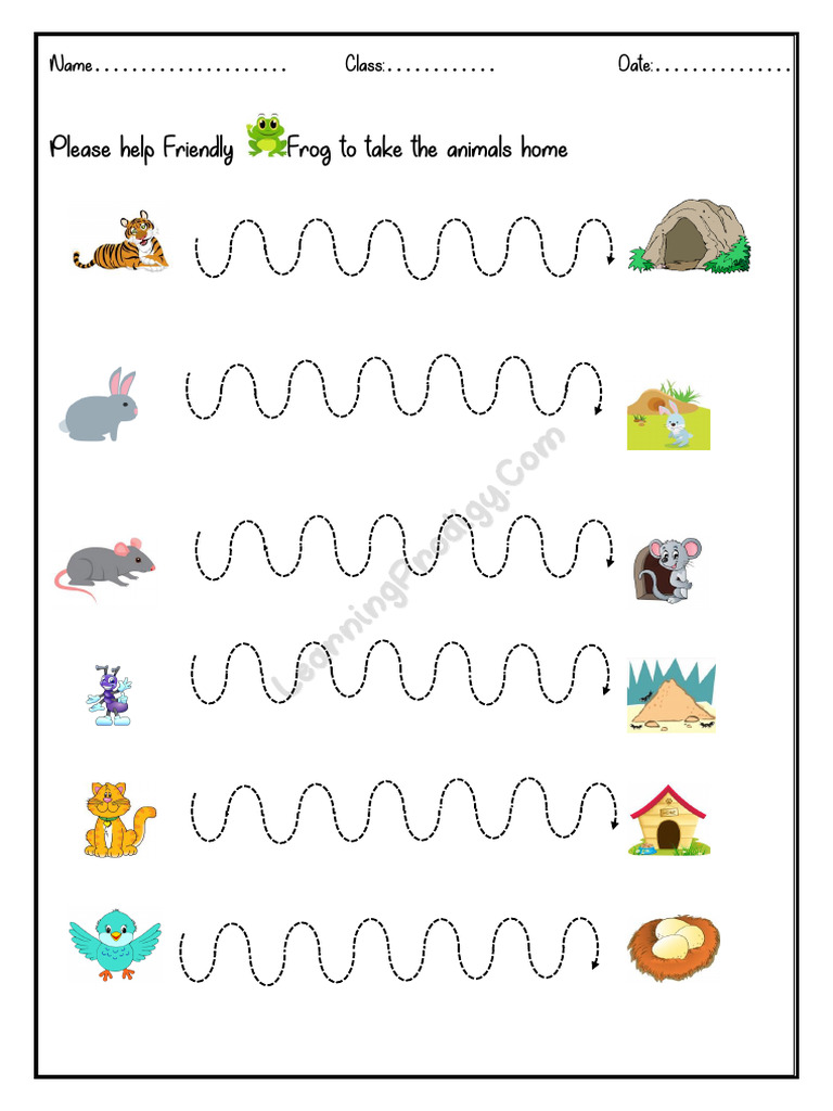 Tracing Curves 2 | PDF | Games & Activities | Home & Garden