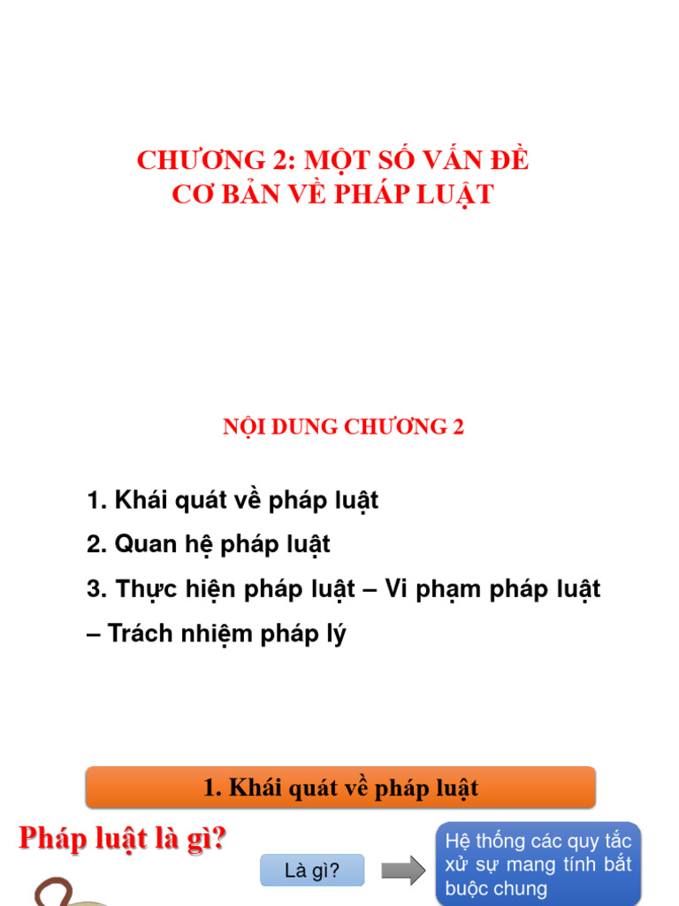 Chuong 2. Mot So Van de Co Ban Ve Phap Luat | PDF