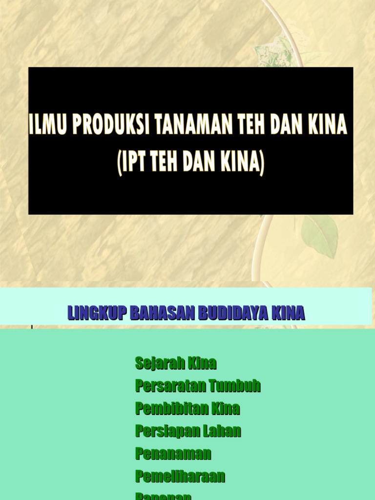 Pertemuan 14. Materi Kina 1 Budidaya Kina-1 | PDF