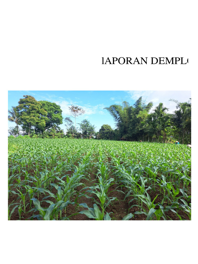 Laporan Demplot Program Makmur Kab. Solok (Rev-1) | PDF