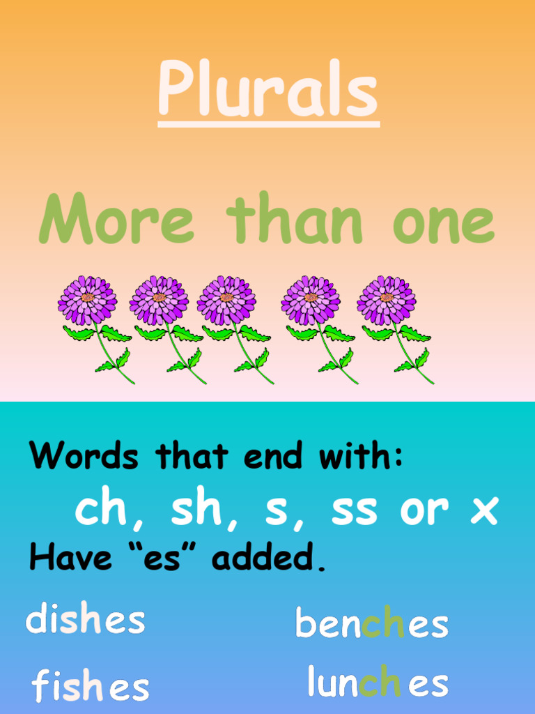 Rules for Forming English Plurals | PDF | Foreign Language Studies