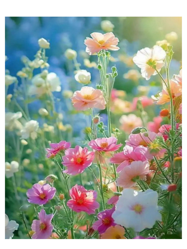 Blomster | PDF