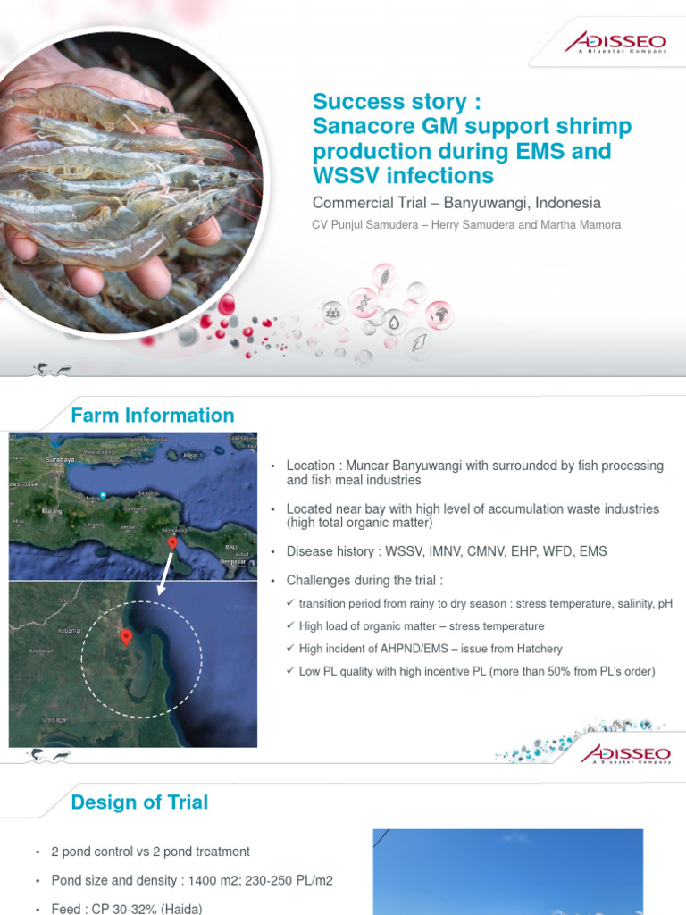 2022 - Sanacore GM Selisseo - Herry Samudera - Banywangi Id | PDF ...