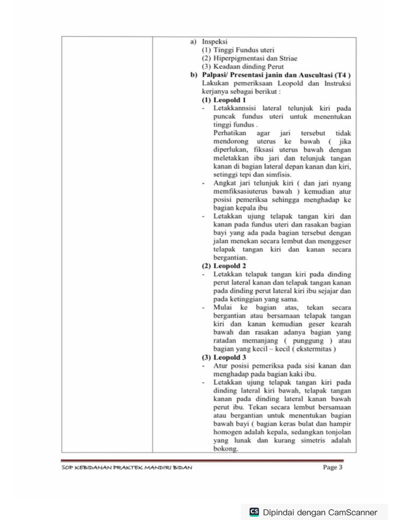 Presentasi Janin PDF | PDF