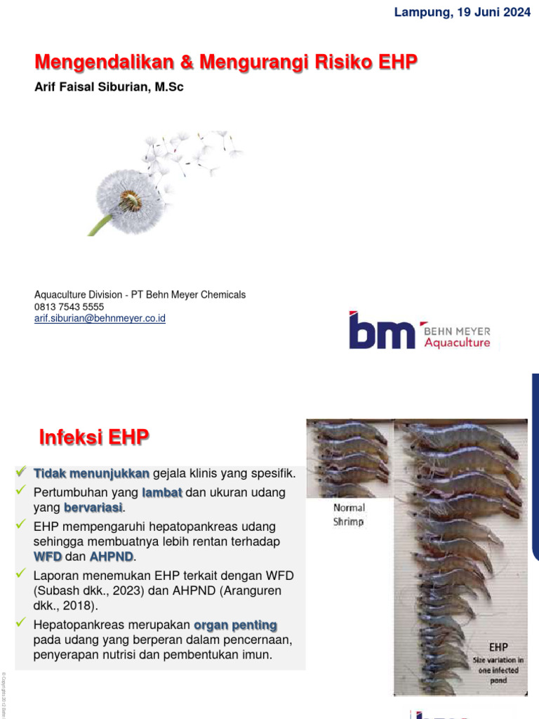 Mengendalikan Dan Mengurangi Risiko EHP - Behn Meyer | PDF