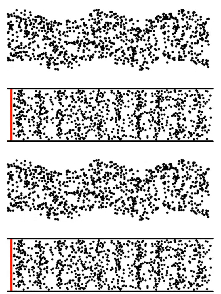 Transverse and Longitudinal Wave Gif | PDF