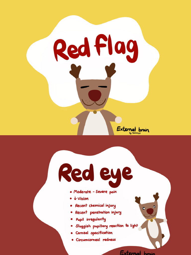 Red Flag Sign by Tammyys | PDF