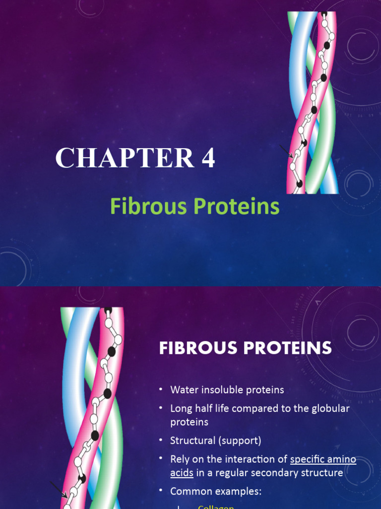 Fibrous Proteins | PDF | Collagen | Proteins