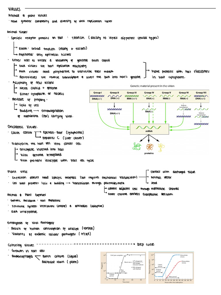 Final Microbiology 1 | PDF | Virus | Glycolysis