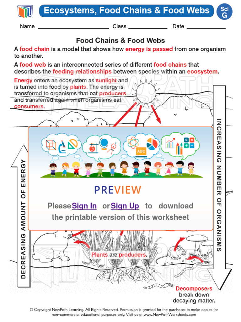 Activity Lesson Science Grade 7 Ecosystems Food Chains and Food Webs 1 ...