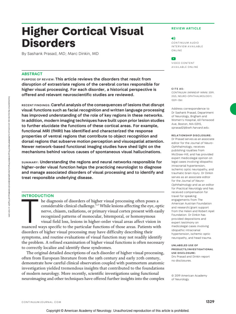 Higher Cortical Visual | PDF | Visual Cortex | Occipital Lobe