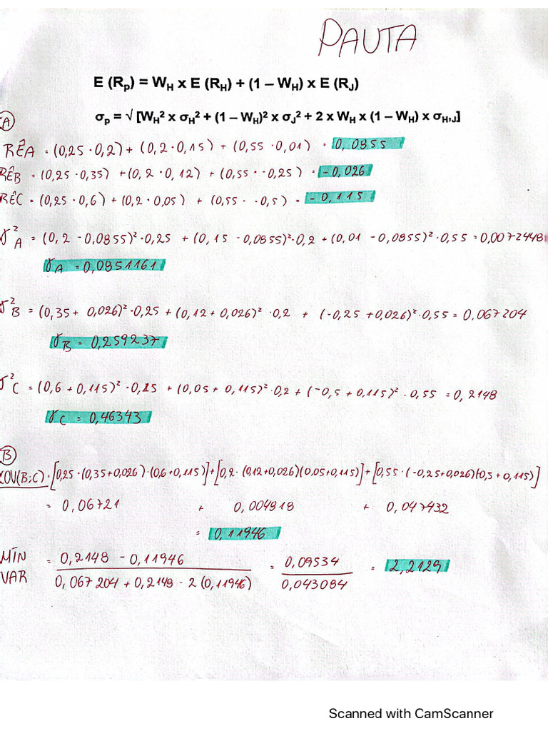Pauta Ejercicios | PDF