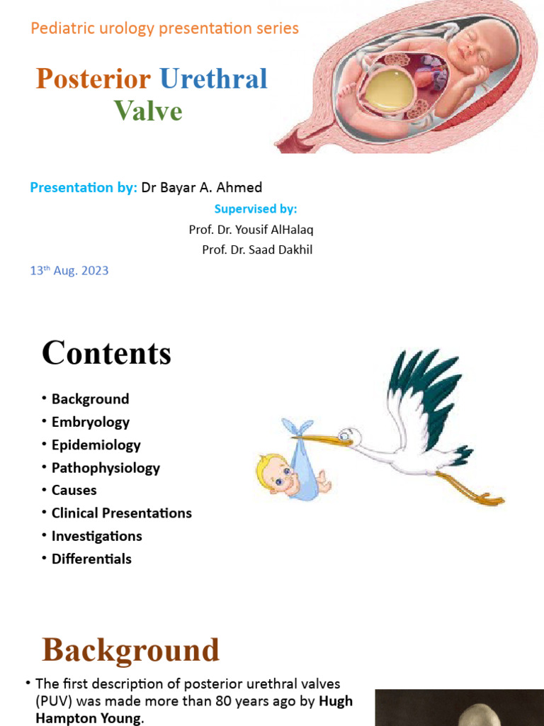 PUV Part 1 | PDF | Kidney | Clinical Medicine